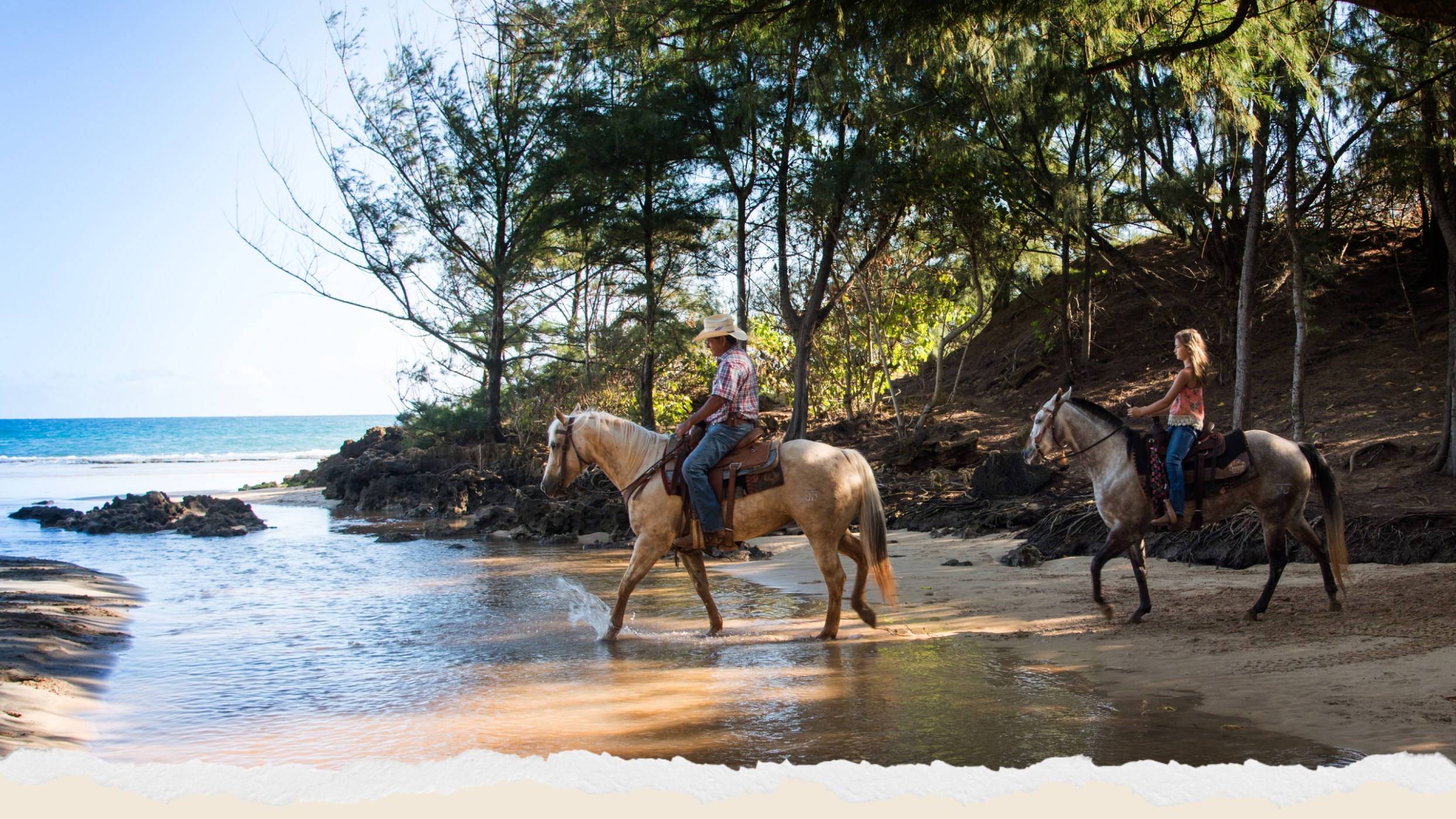 Contact Us & Directions | CJM Country Stables