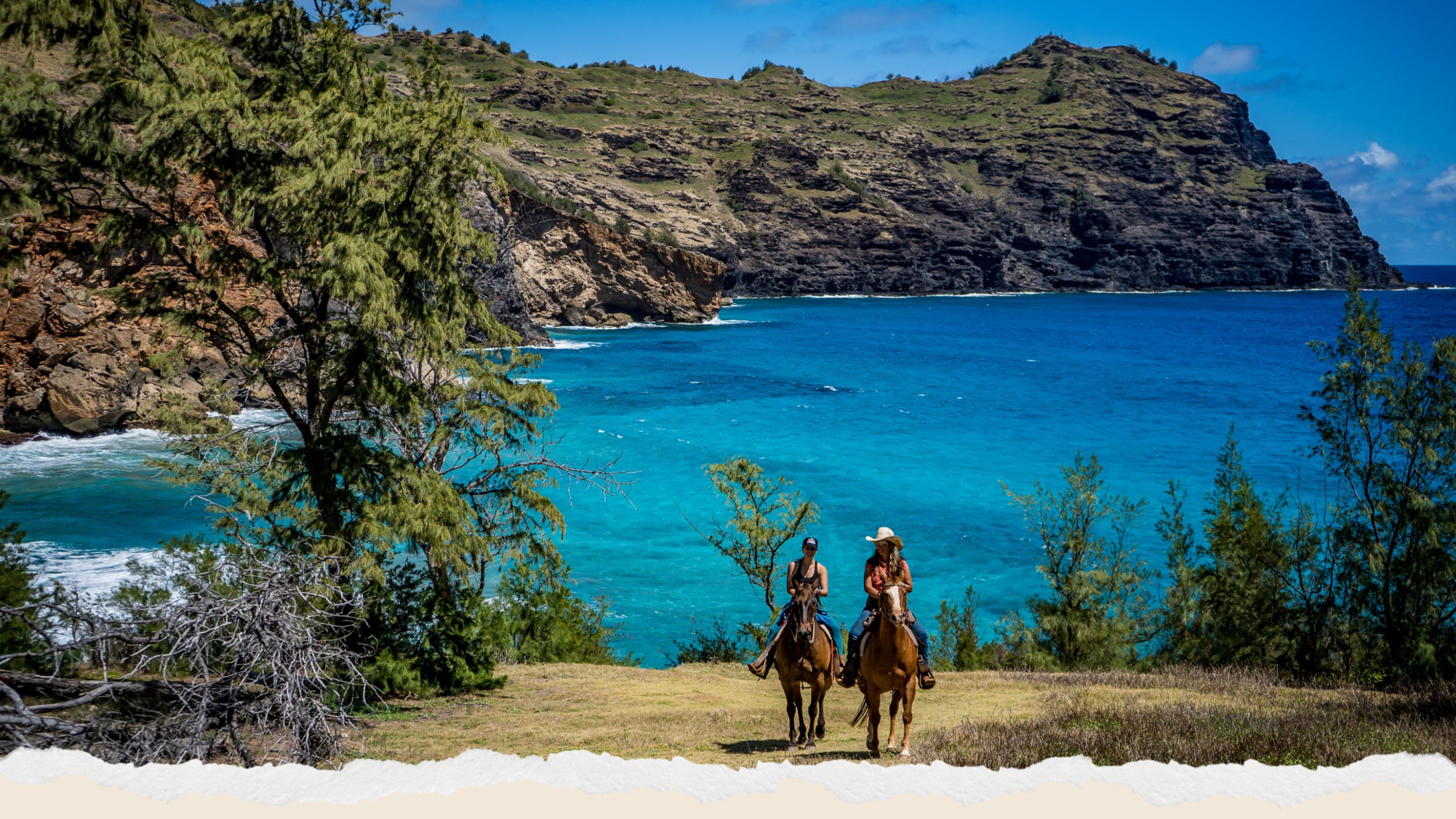 Poipu, Kauai, Horseback Trail Rides | CJM Country Stables